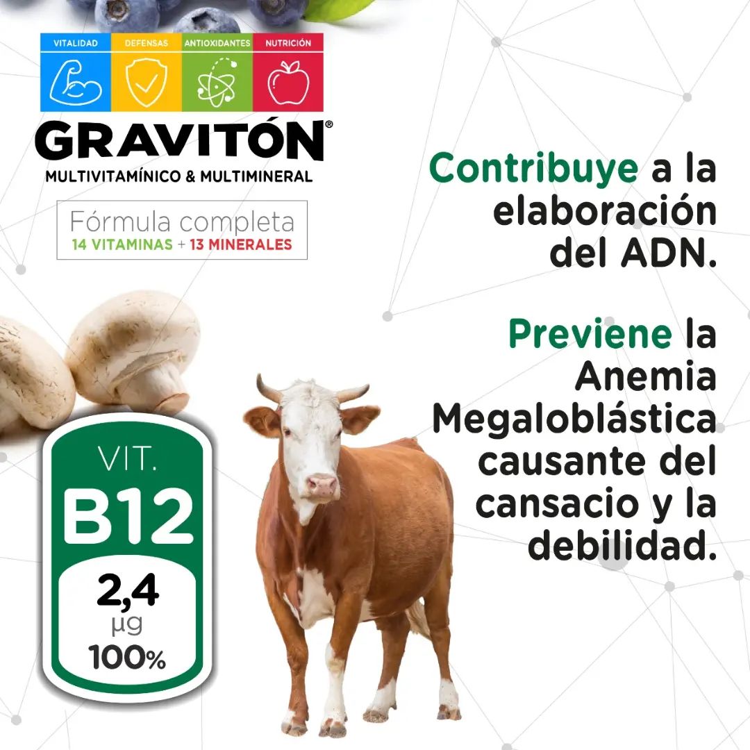 Graviton Multivitaminico y Multimineral – Pharma Alioth